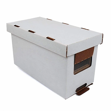 Products – Tree City Bee Company